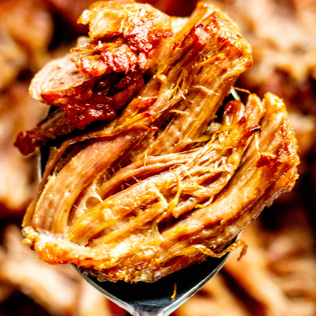 Easy Pressure Cooker Pulled Pork Recipe (Instant Pot) - Grilled Cheese ...